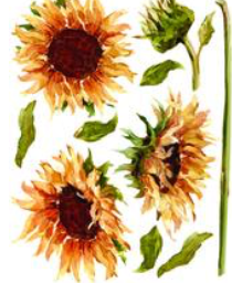 Painterly Floral Transfer - New Format! – DIY À GOGO